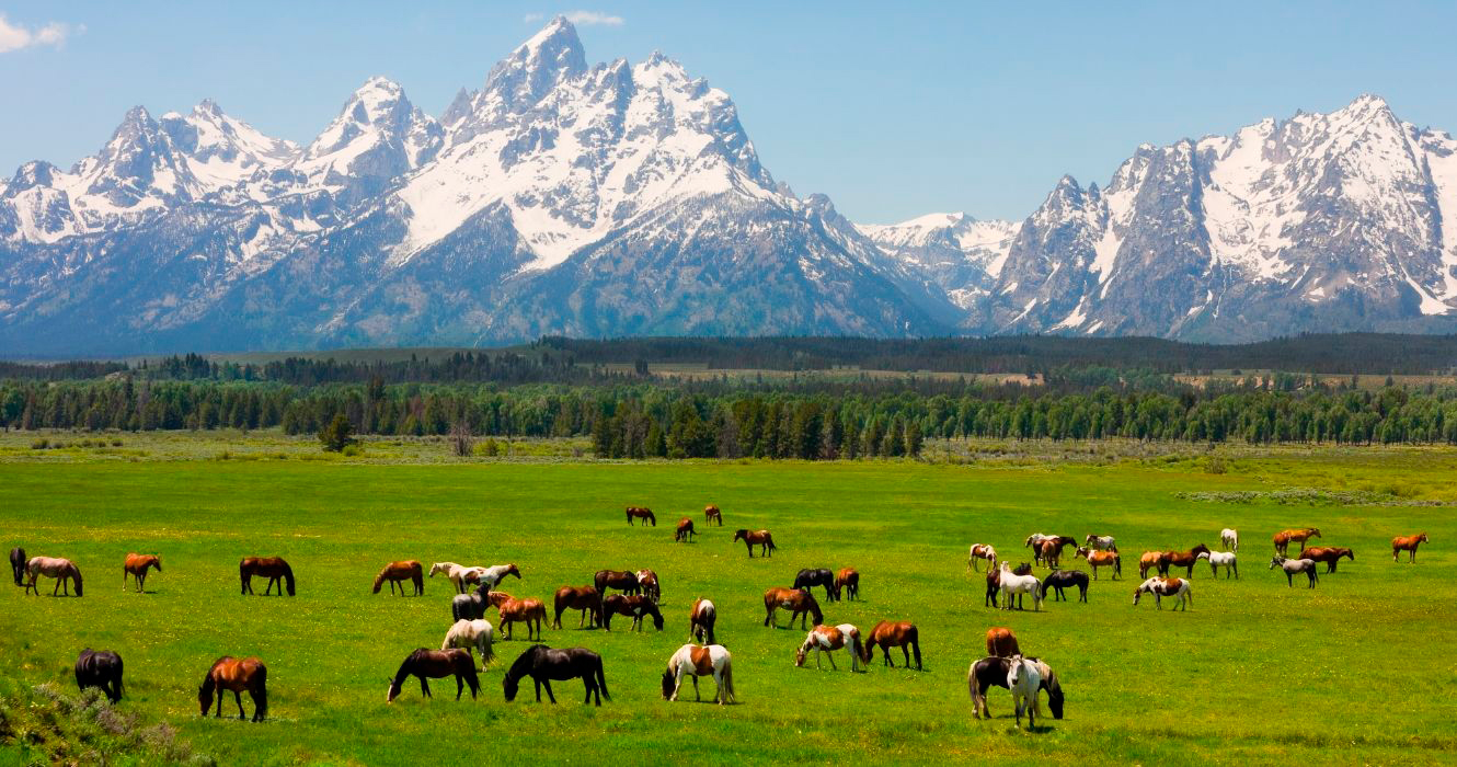 Home - River Ridge Ranch